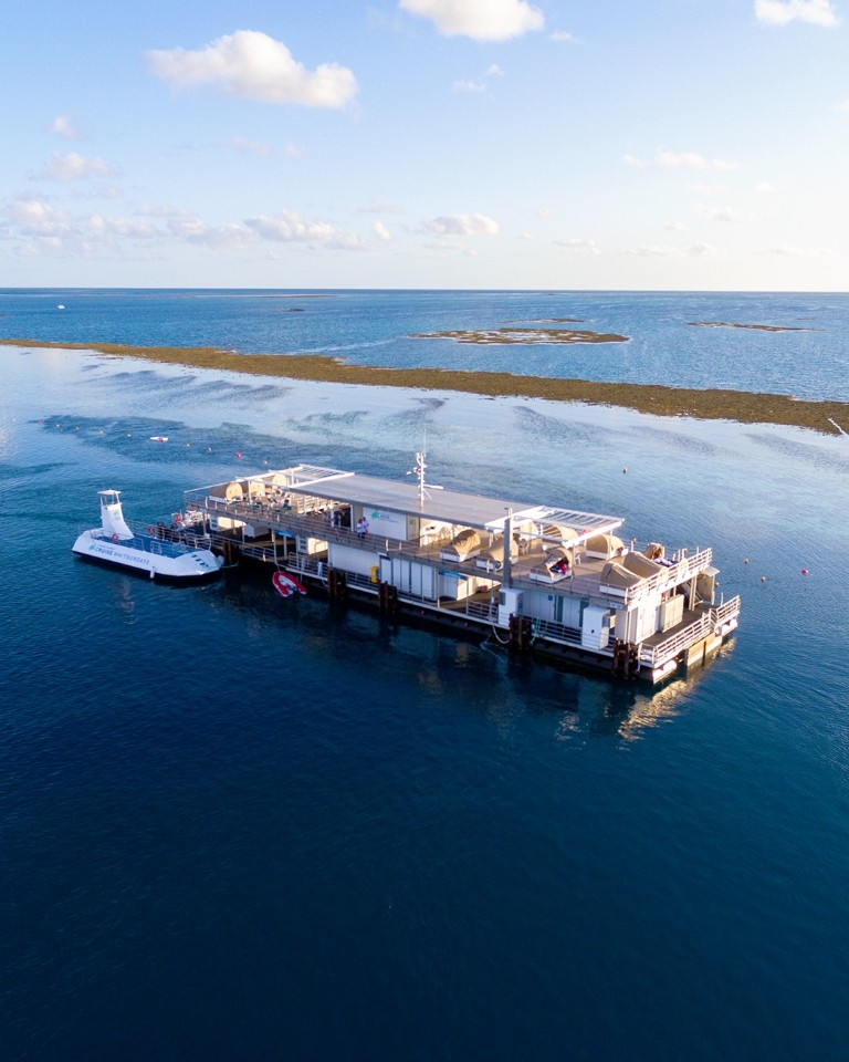 Hardy Reef | Airlie Beach & Whitsundays Guide | Visit Airlie Beach
