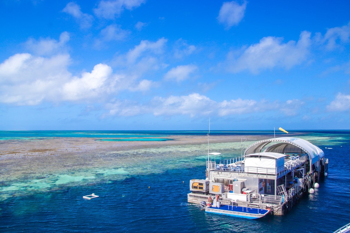 Hardy Reef | Airlie Beach & Whitsundays Guide | Visit Airlie Beach