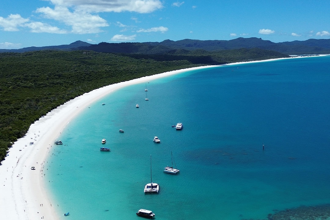 Whitehaven Beach | Airlie Beach & Whitsundays Guide | Visit Airlie Beach